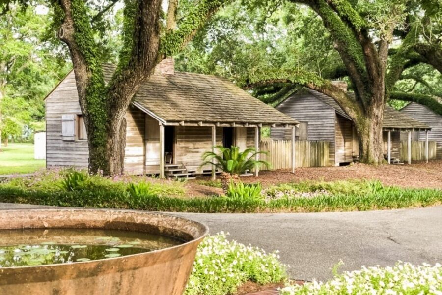 From New Orleans: Oak Alley Plantation Tour - What Travelers Say