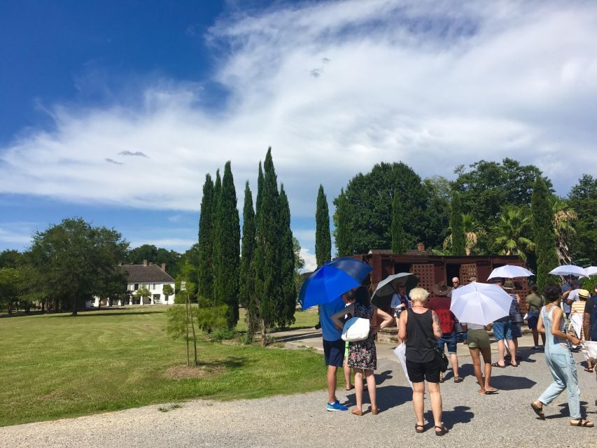 From New Orleans: Whitney and Laura Guided Plantation Tour - A Deep Dive into the Experience