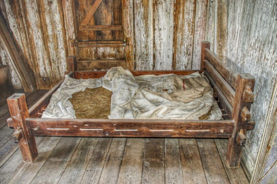 From New Orleans: Whitney Plantation Ticket & Transportation - Who Should Book This Tour?
