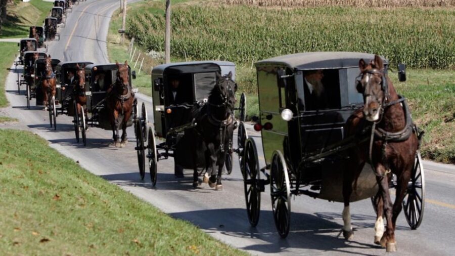 From New York City: Philadelphia & Amish Community Day Trip - The Journey Begins: From NYC to Philadelphia