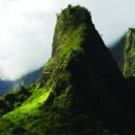 From Oahu: Best of Maui/Haleakala - Sips, Sites & Bites - Logistics, Price, and Overall Value