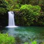 From Oahu: Maui Road to Hana Sightseeing Tour - The Itinerary — Every stop detailed
