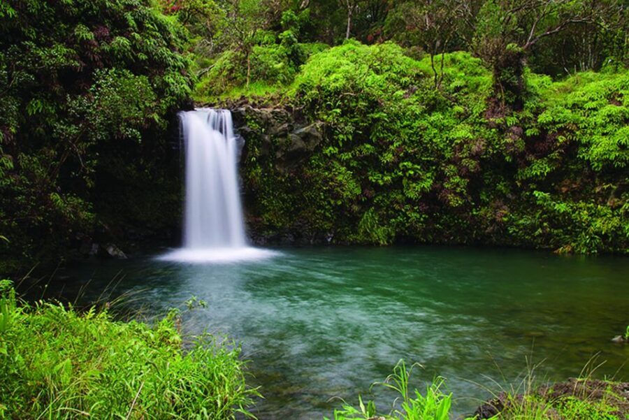 From Oahu: Maui Road to Hana Sightseeing Tour - The Itinerary — Every stop detailed