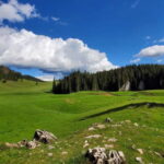 From Oradea: Apuseni Mountains Guided Hiking Tour - An In-Depth Look at the Tour