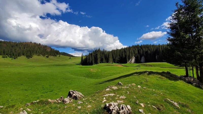 From Oradea: Apuseni Mountains Guided Hiking Tour - An In-Depth Look at the Tour