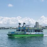 From Orlando: Day Trip to Clearwater Beach with Options - Optional Experiences: Something for Everyone