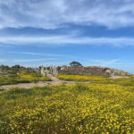 From Paphos: Famagusta, Salamis, and Varosha Walking Tour - Who Should Consider This Tour?