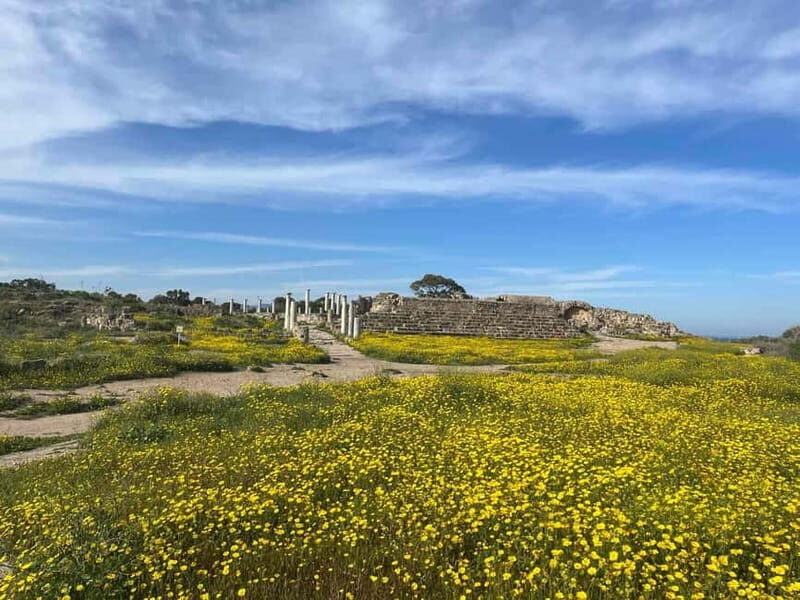 From Paphos: Famagusta, Salamis, and Varosha Walking Tour - Who Should Consider This Tour?