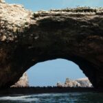 From Paracas: Ballestas Islands tour all Inclusive - Navigating the Experience: What Makes It Stand Out