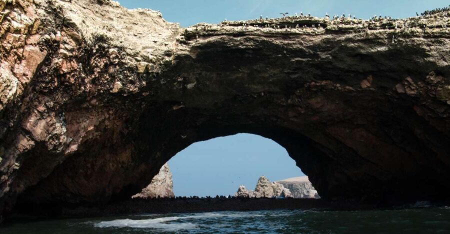 From Paracas: Ballestas Islands tour all Inclusive - Navigating the Experience: What Makes It Stand Out