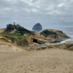 From Portland: Oregon Coast Day Trip to Three Capes Loop - Beaches, Forests, and Hidden Gems