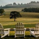 From Portland Private Willamette Valley Wine Tour - The transportation and overall value