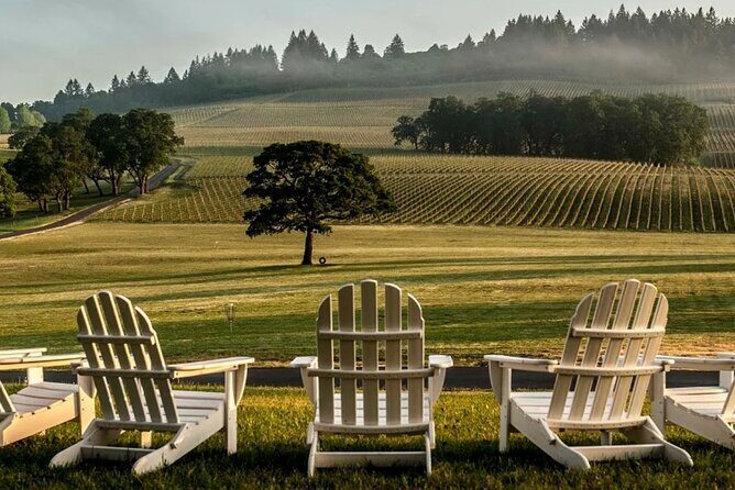From Portland Private Willamette Valley Wine Tour - The transportation and overall value