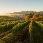 From Portland: Willamette Valley Wine Tasting Tour - The Practical Side: Pricing, Timing, and Group Size