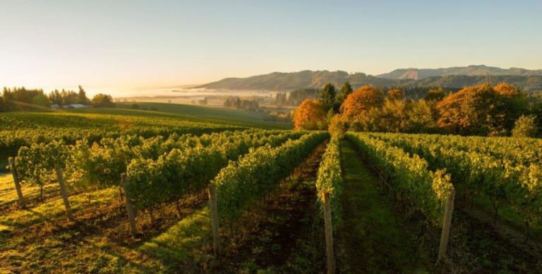 From Portland: Willamette Valley Wine Tasting Tour - The Practical Side: Pricing, Timing, and Group Size