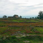 From Porto: Castros Celtic Ruins Private Day Tour - The Itinerary in Detail