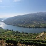 From Porto Private Wine Tour with 2 Tastings, Boat and Lunch - Logistics and Practical Details