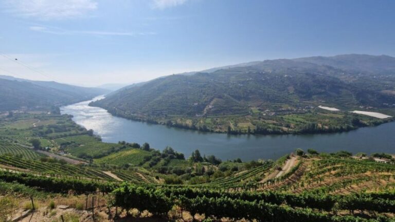 From Porto Private Wine Tour with 2 Tastings, Boat and Lunch - Logistics and Practical Details