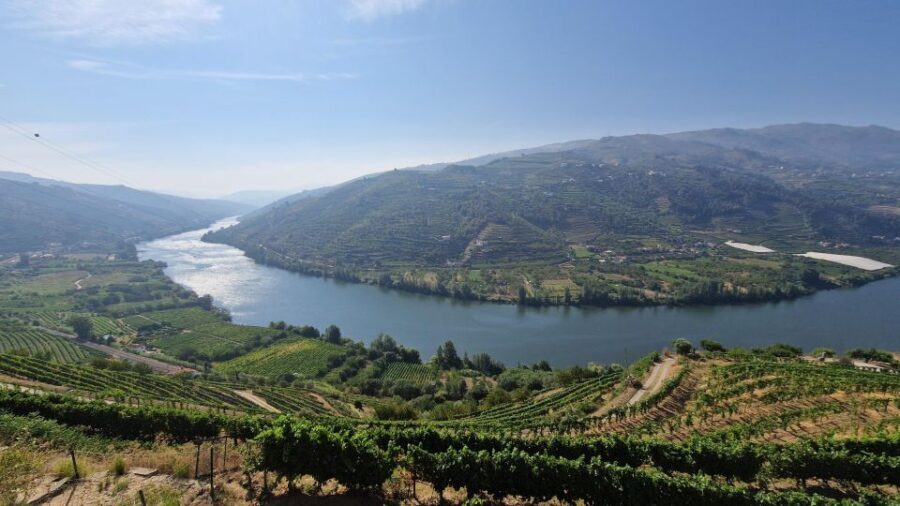 From Porto Private Wine Tour with 2 Tastings, Boat and Lunch - Logistics and Practical Details