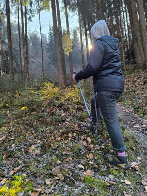 From Prague: Hiking Tour of the Beauties of Kokoín - Is This Tour Worth the Price?