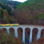 From Prague: Sazava River Canoe Day Trip for All Levels - What Do Our Reviews Say?