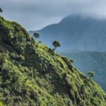 From Princeville: Discover Kauai Helicopter Tour - The Experience and Value