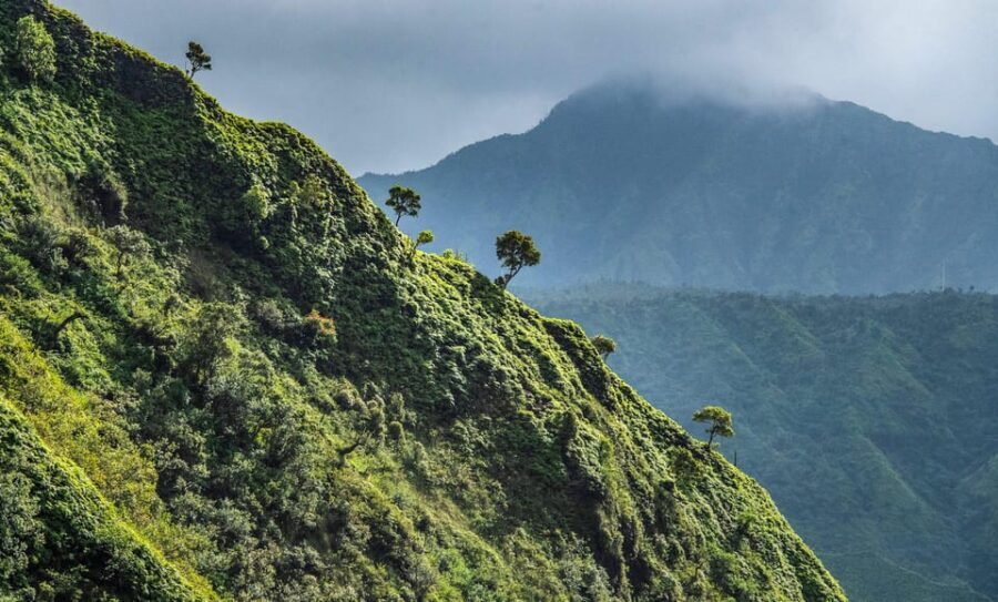 From Princeville: Discover Kauai Helicopter Tour - The Experience and Value