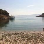 From Punat: Plavnik Island Boat Tour with Lunch - Wildlife and Unique Sightings