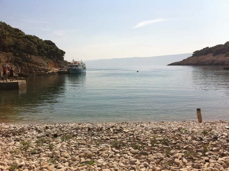 From Punat: Plavnik Island Boat Tour with Lunch - Wildlife and Unique Sightings