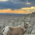 From Rapid City: Sunset, Stars and Silhouettes - Who Will Love This Tour?