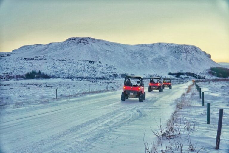 From Reykjavik: Buggy & Whale Watching Adventure - The Itinerary in Detail