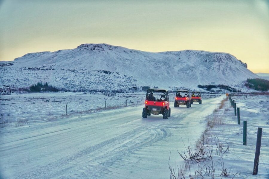 From Reykjavik: Buggy & Whale Watching Adventure - The Itinerary in Detail