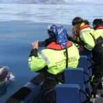 From Reykjavik: Whale Watching Tour by Speedboat - Final Thoughts