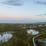 From Riga: Kemeri Bog Boardwalk and Jurmala Seaside - Who Would Love This Tour?