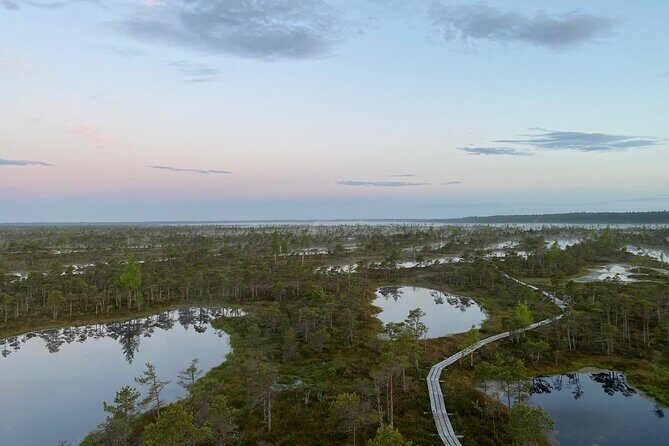 From Riga: Kemeri Bog Boardwalk and Jurmala Seaside - Who Would Love This Tour?