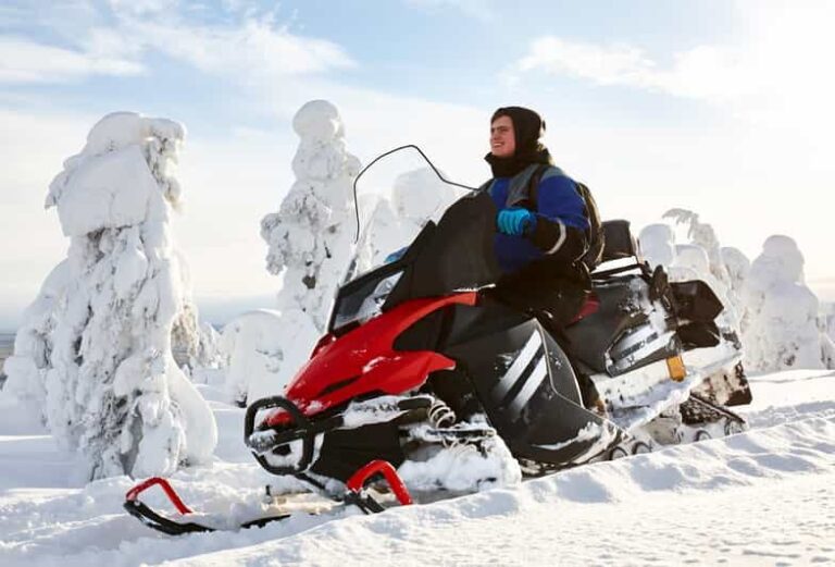 From Rovaniemi: 2-Hour Snowmobile Safari - What to Expect on the Snowmobile Safari