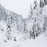 From Rovaniemi: Frozen Waterfalls of Korouoma Full-Day Tour - Why Travelers Love This Tour