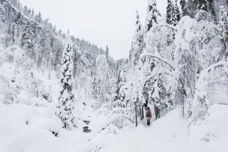 From Rovaniemi: Frozen Waterfalls of Korouoma Full-Day Tour - Why Travelers Love This Tour