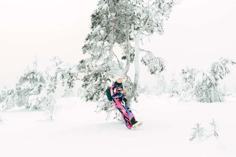 From Rovaniemi: Frozen Wonderland Riisitunturi Winter Hike - What to Expect on the Trail