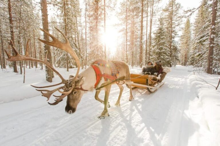 From Rovaniemi: Reindeer Farm Visit with Sleigh Ride - Food and Comfort
