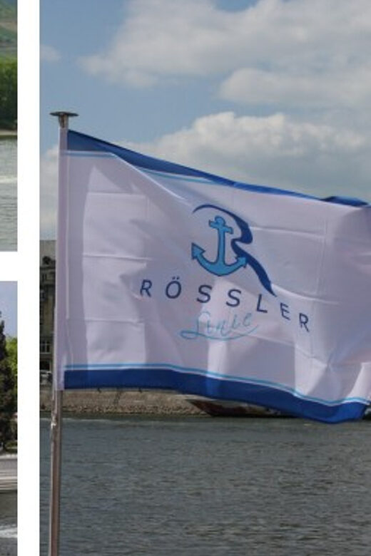 From Rüdesheim: 1.5-Hour Boat Cruise with Wine Tasting - The Practicalities and Logistics
