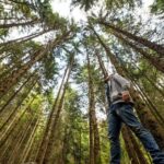 From San Francisco: Alcatraz Island & Guided Muir Woods Tour - Authentic Traveler Insights from Reviews