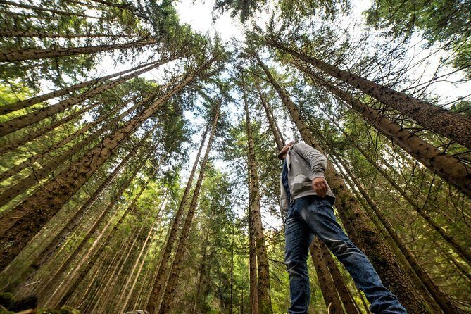 From San Francisco: Alcatraz Island & Guided Muir Woods Tour - Authentic Traveler Insights from Reviews