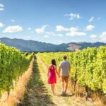 From San Francisco: Alcatraz Night Tour, Muir Woods and Wine - Who Will Love This Tour?