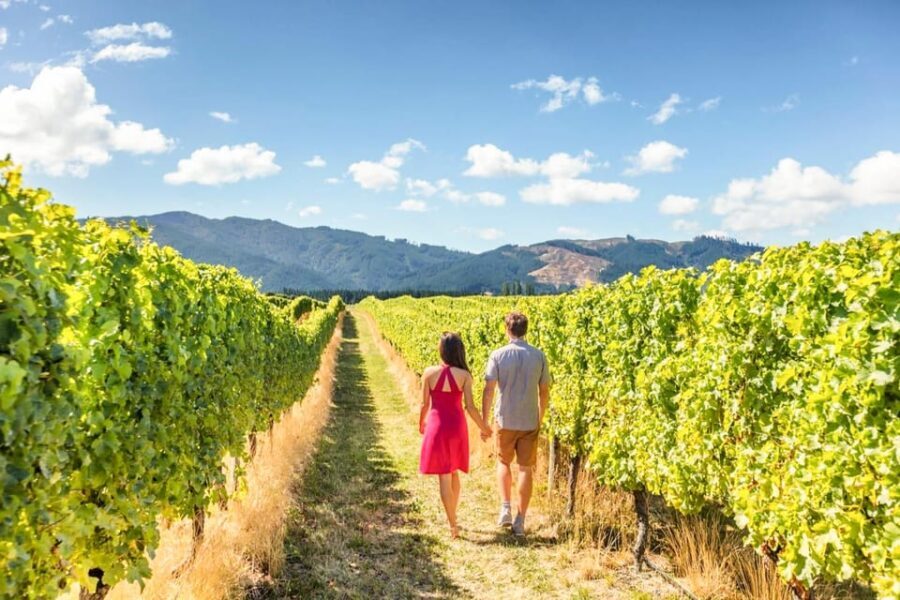 From San Francisco: Alcatraz Night Tour, Muir Woods and Wine - Who Will Love This Tour?