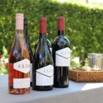 From San Francisco: Half-Day Wine Aficionado Tour with Tastings - Deep Dive into the Stops: What You Can Expect