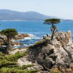 From San Francisco: Monterey and Carmel Day Tour - The Itinerary in Detail: What to Expect