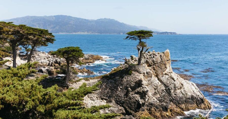 From San Francisco: Monterey and Carmel Day Tour - The Itinerary in Detail: What to Expect
