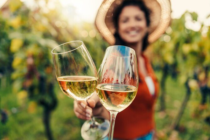 From San Francisco: Napa & Sonoma Valley Wine Tour with Tastings - Napa Valley – First Stops