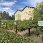 From San Francisco: Private Muir Woods and Napa Wine Tour - The Itinerary: What You Can Expect